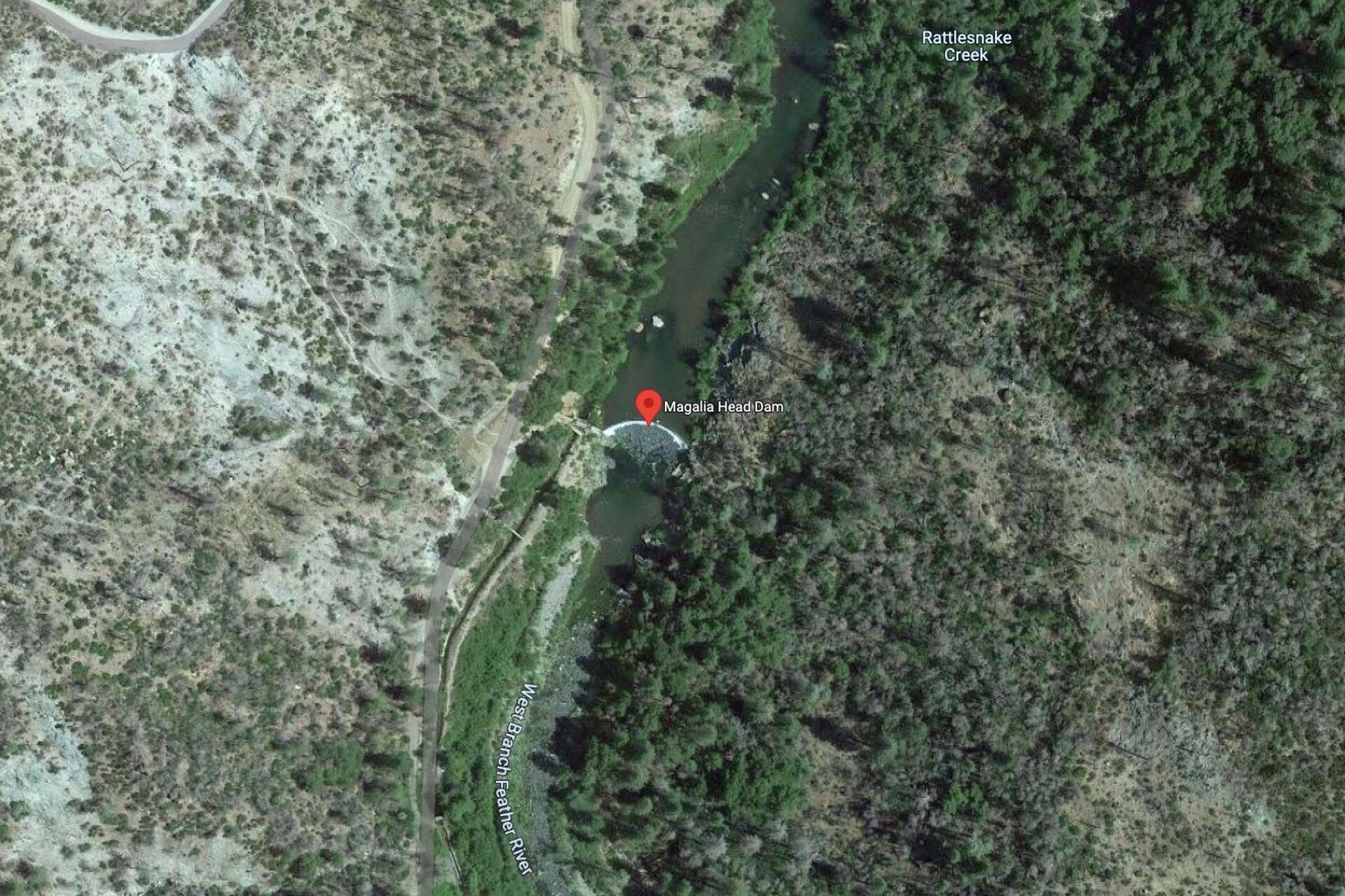 Bay Area man drowns after diving off Northern California dam