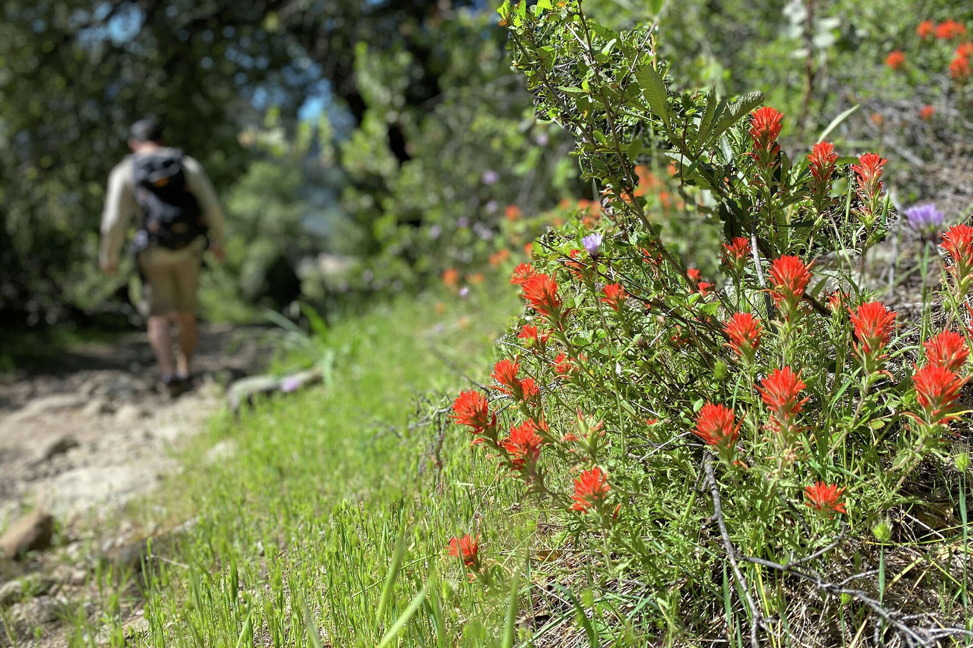 Hetch Hetchy is a great hiking destination in Yosemite right now