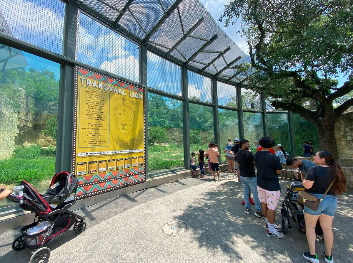 San Antonio's rich history of repurposing defunct quarries