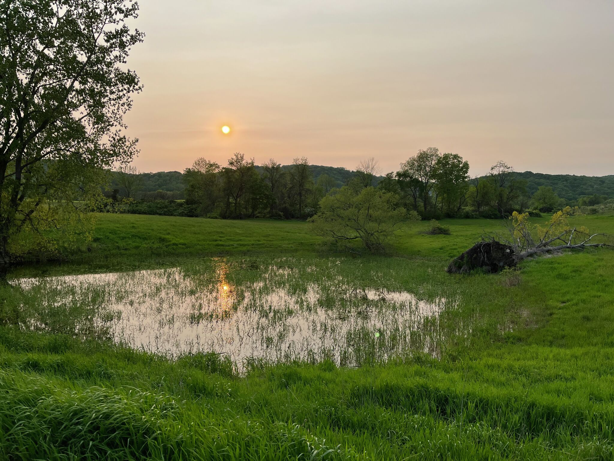 Time on the banks of a little country pond calms the soul