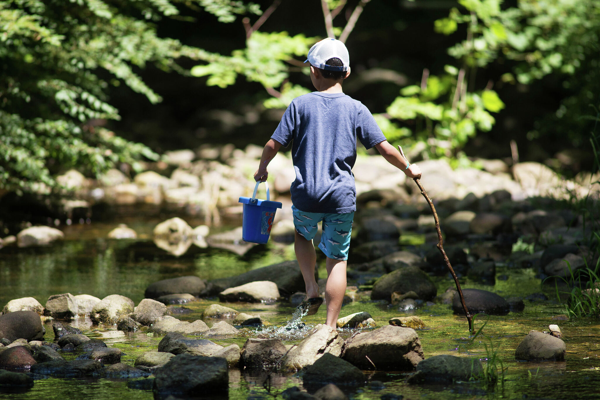 Wilton's Merwin Meadows opens for summer; don't forget your park pass