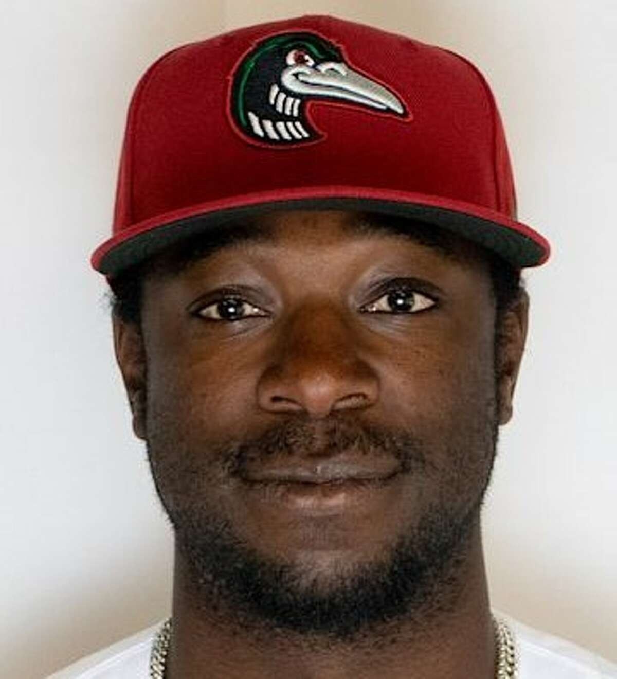 Chris Alleyne's 2-run double Thursday lifts Loons over Sky Carp