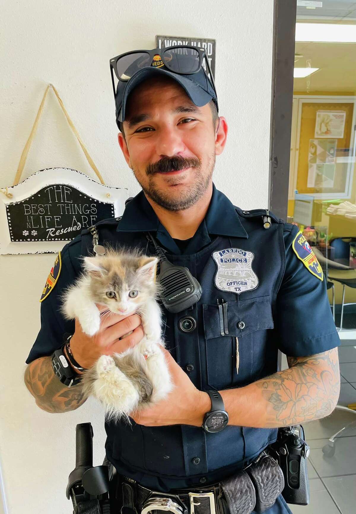 Laredo police present LACS Pets of the Week available for adoption