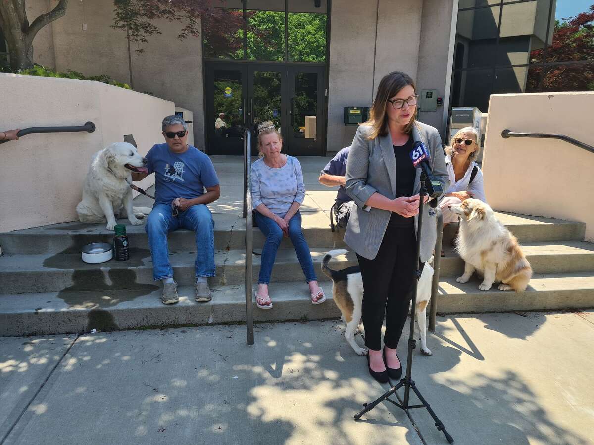 Hamden animal shelter plan revived with new Main Street location