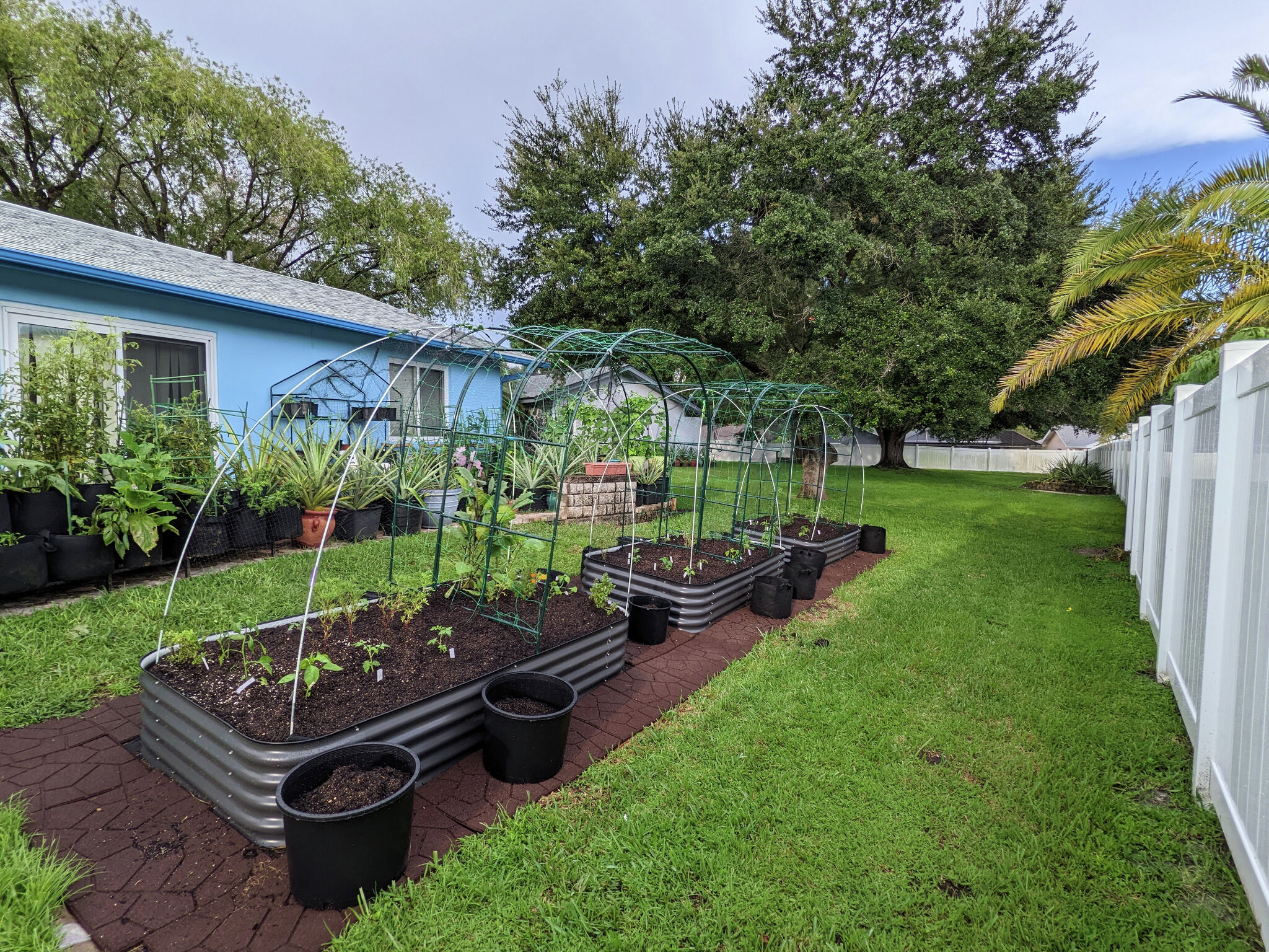 7 Top Tips from a Successful Backyard Vegetable Gardener