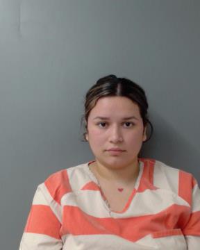 Laredo PD: Woman endangered her children in crash with ex's vehicles