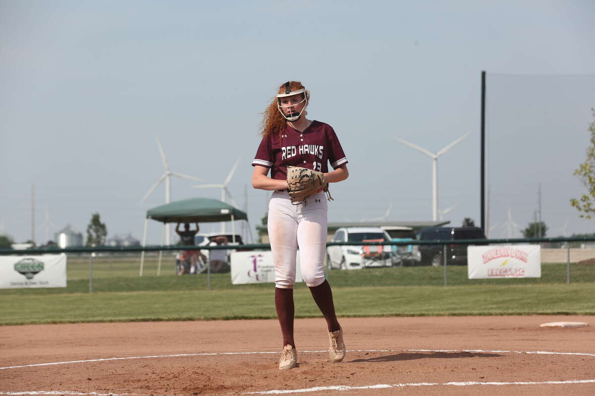 Cass City wins second straight softball district championship