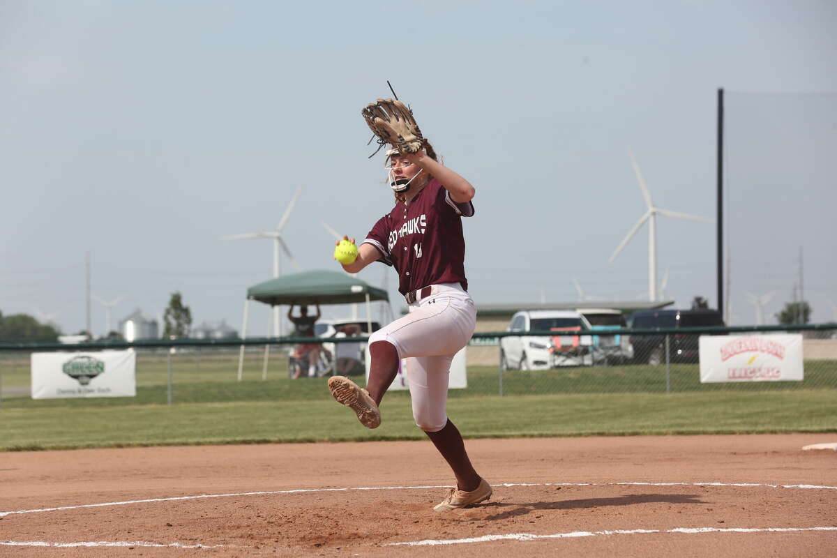 Cass City wins second straight softball district championship