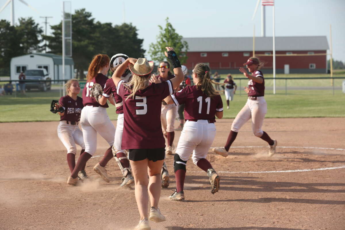 Cass City wins second straight softball district championship