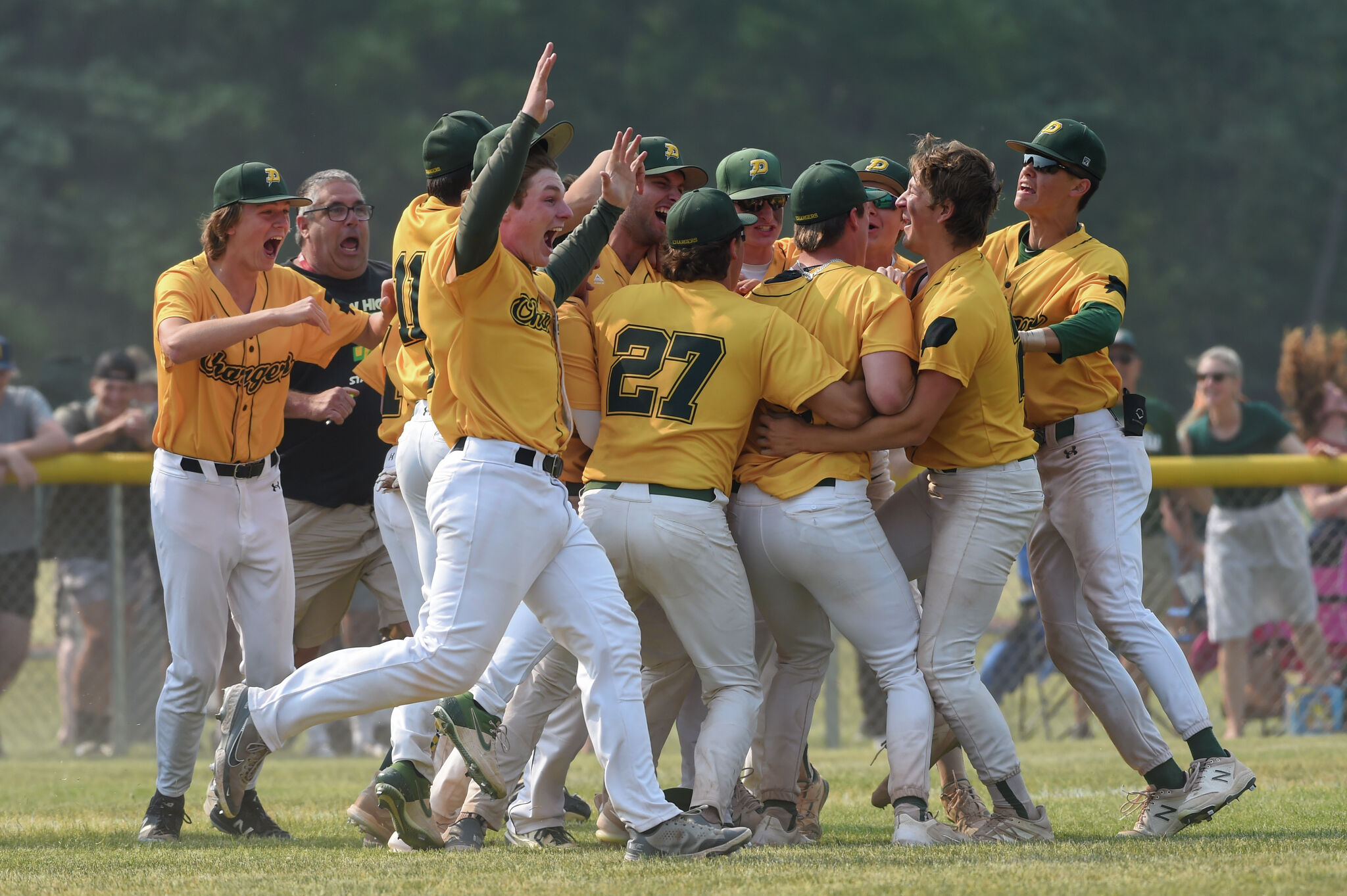 Dow beat BC Western 2-1 Saturday in Div. 1 baseball district final