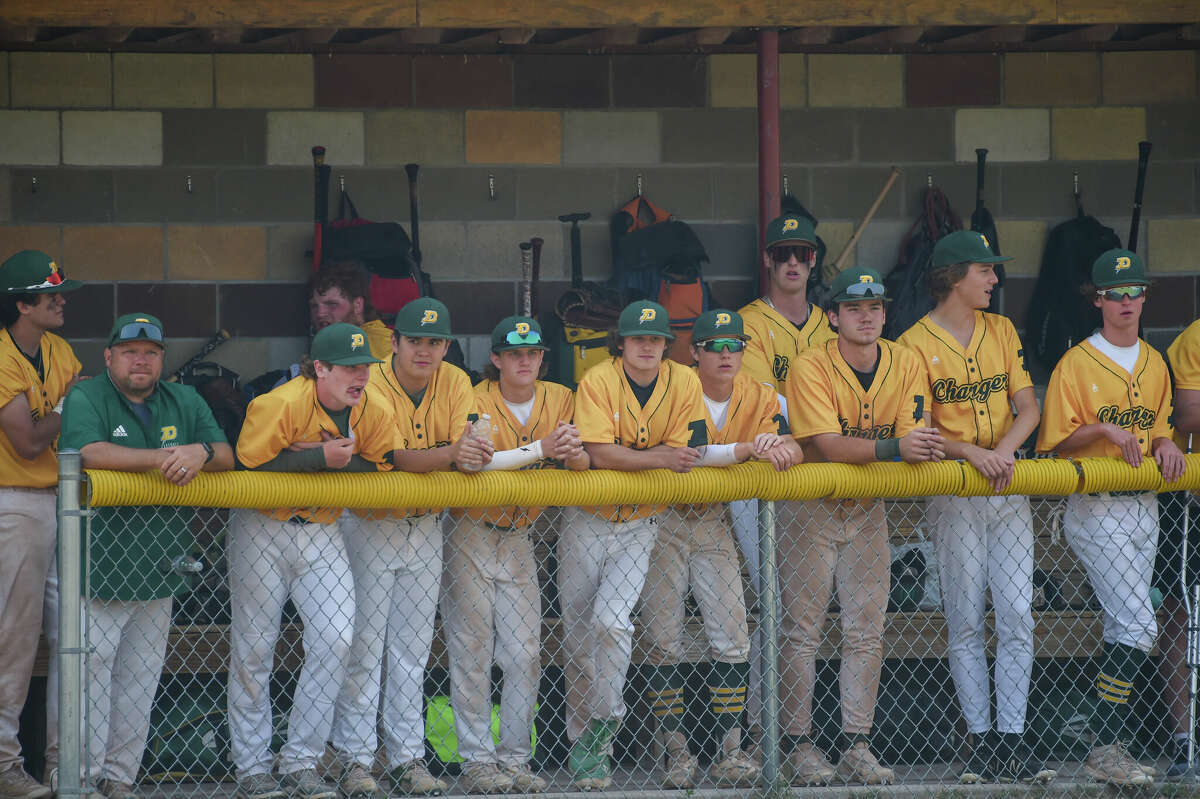 Dow beat BC Western 2-1 Saturday in Div. 1 baseball district final