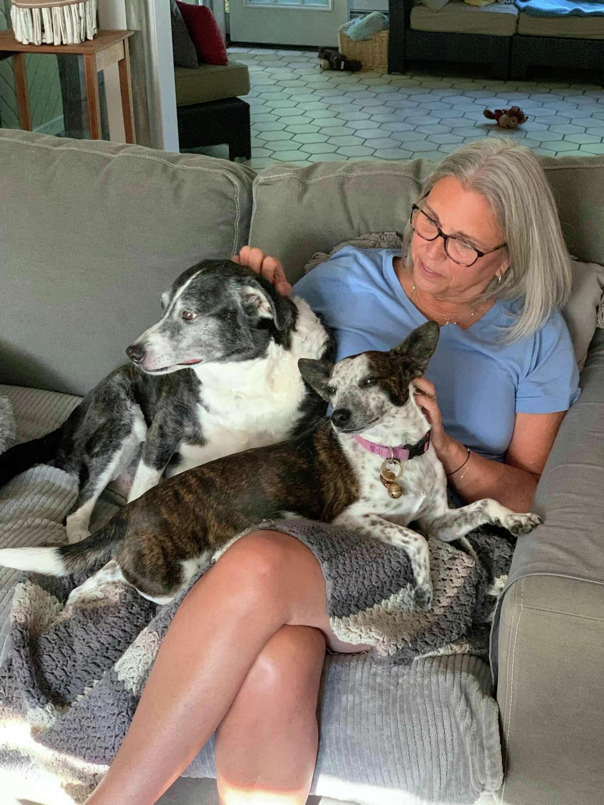 Sharon Rutledge, Greenwich native and fan of Milford, dies at 63