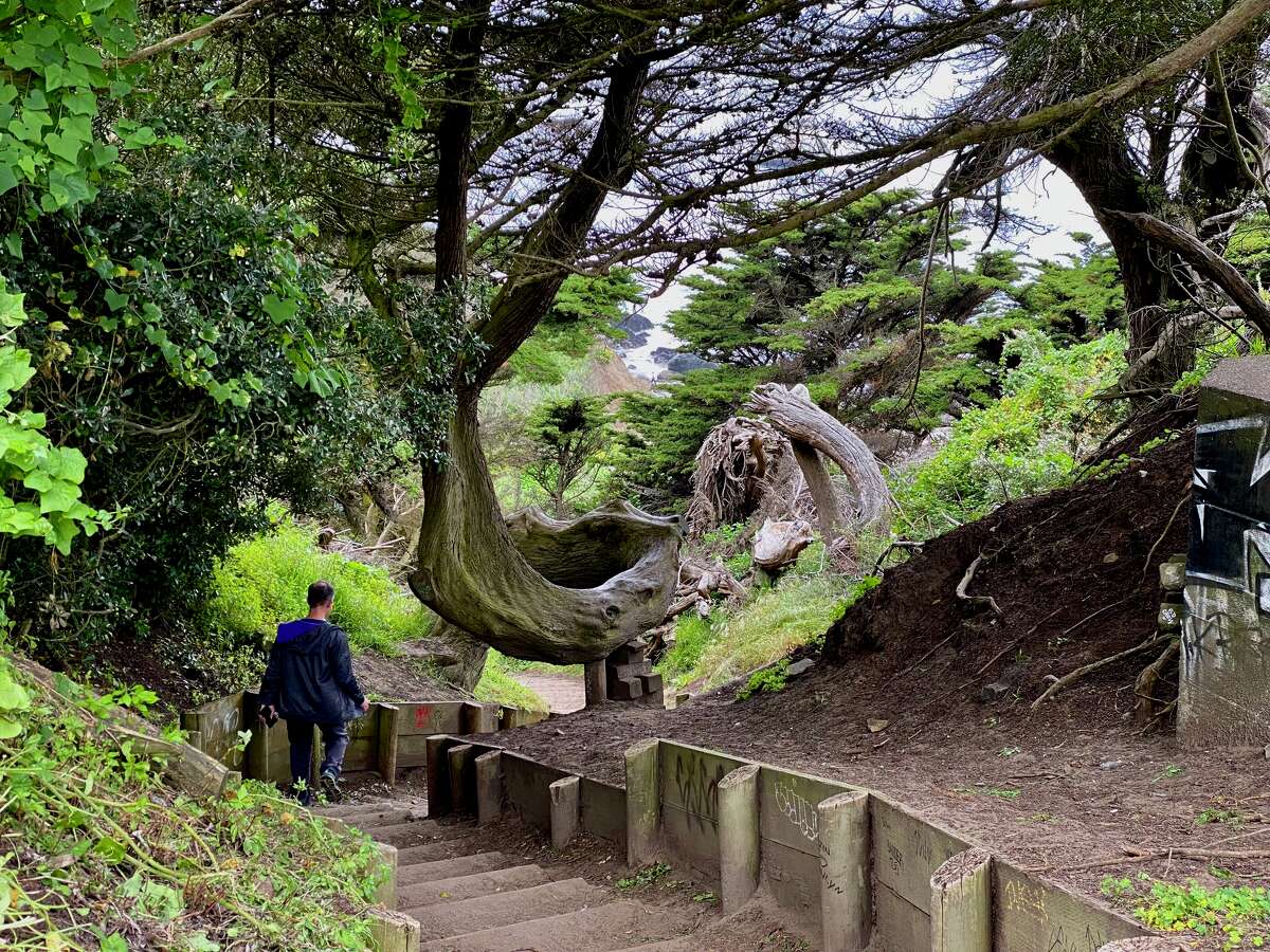 Mile Rock Beach: All to know about this secluded SF beach