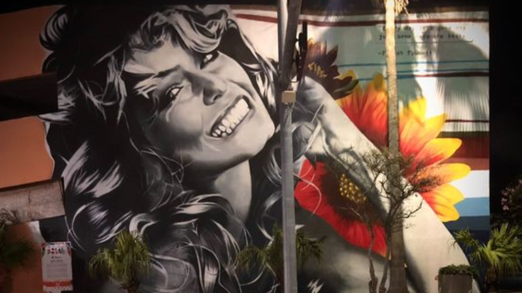 Michigan muralist Krystal Cooke shares her art in Texas