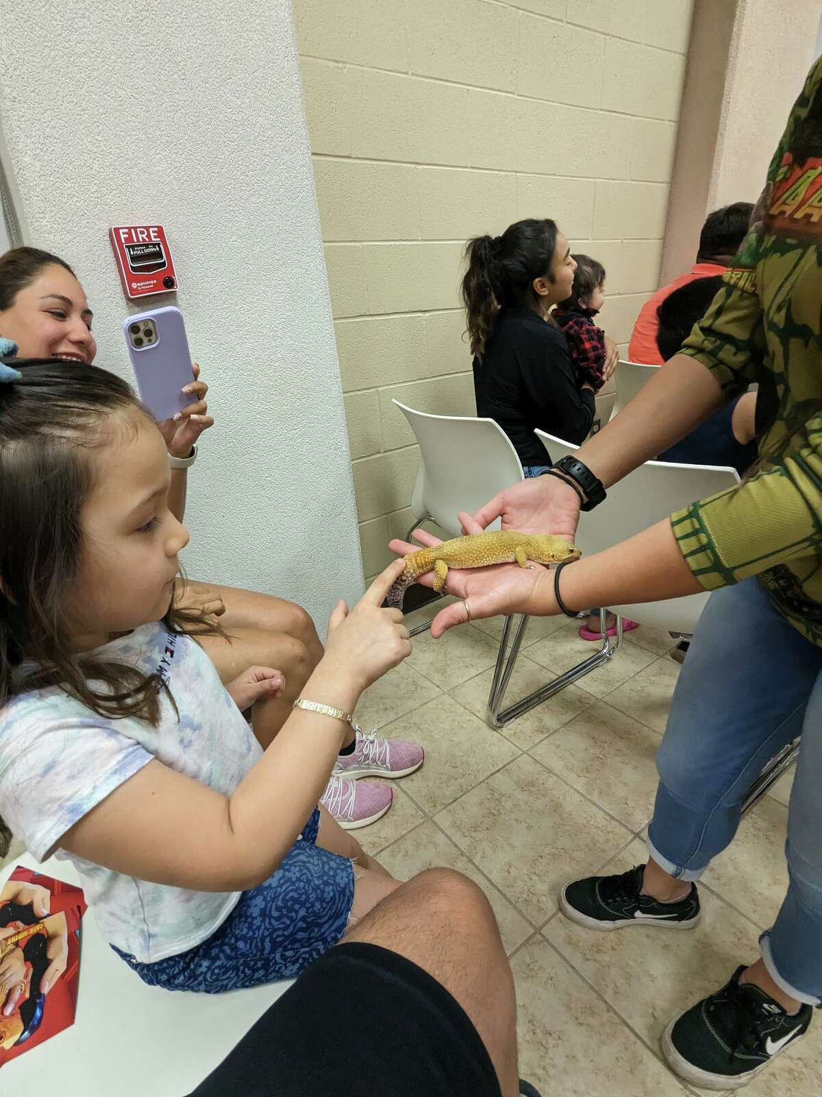 Casa Reptile showcasing exotic reptiles at Laredo libraries