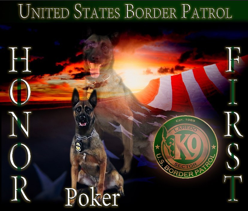 STX Border Patrol service K9 dies with honorable contributions