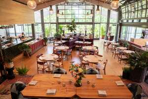 Jess Lander, Wine reporter - San Francisco Chronicle