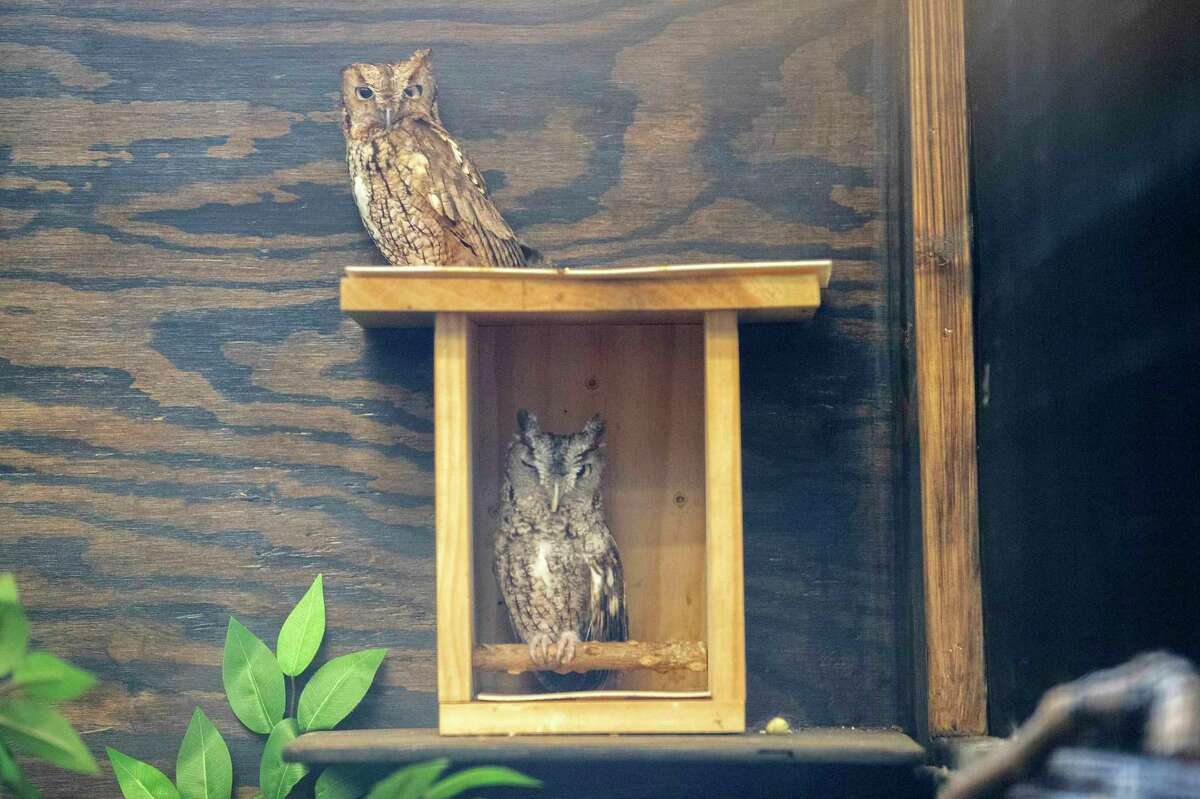 Spring Creek Nature Center adds possums, snakes and a new playground