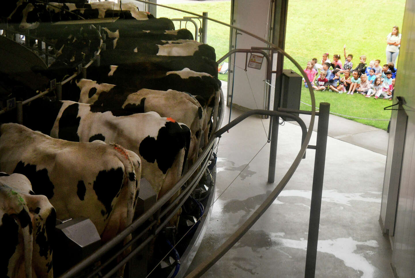 Ellington's Modern Milkman expands delivery to over 50 CT towns