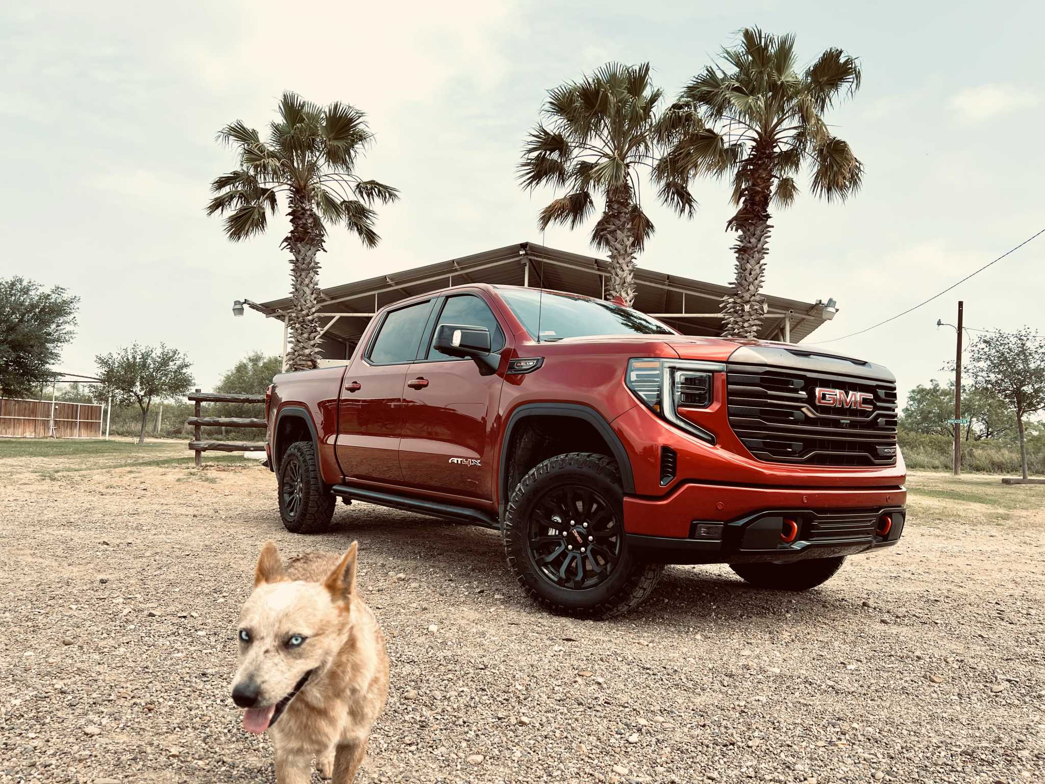 GMC Sierra 1500 AT4X drives like a boss