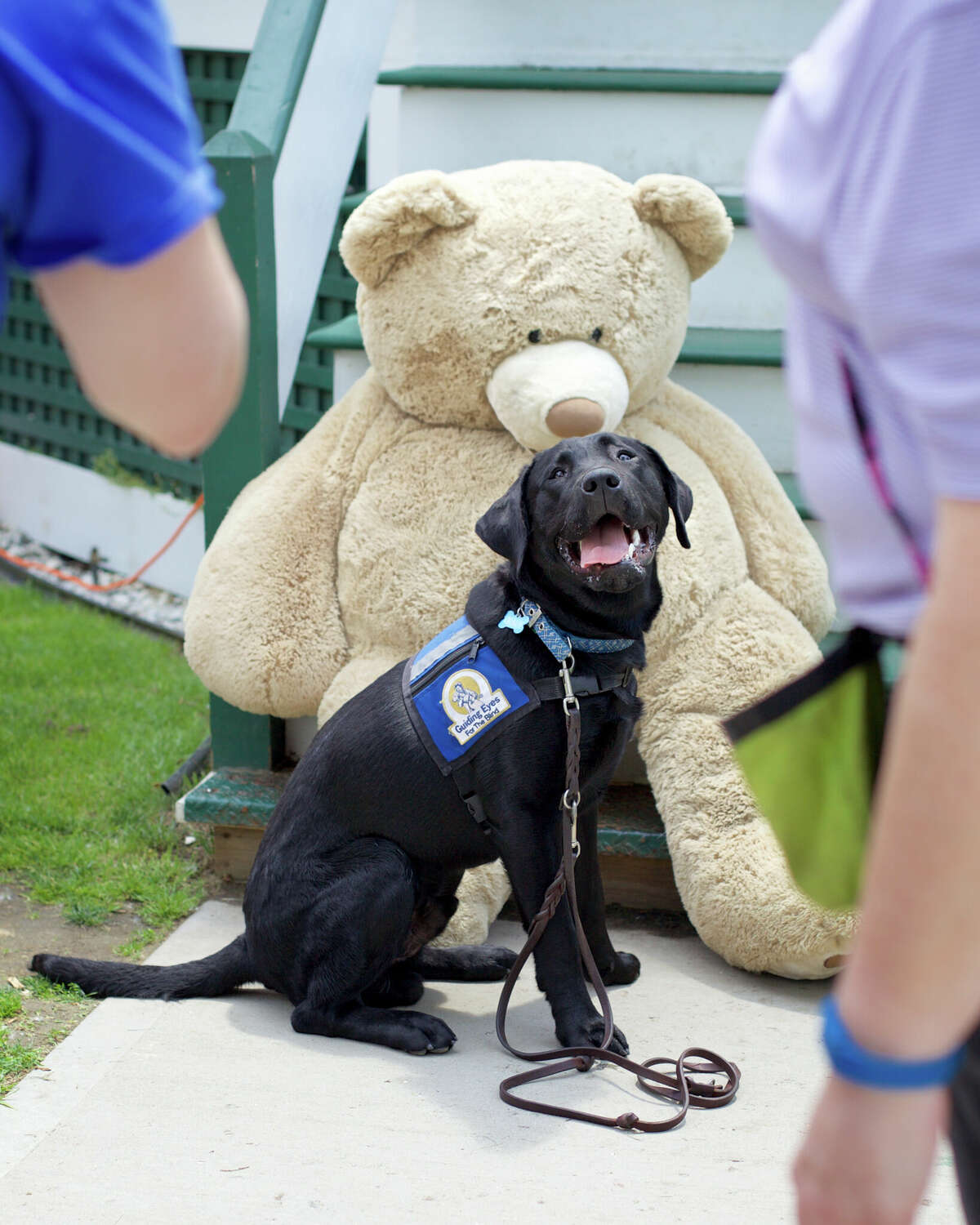 26th annual Teddy Bear Festival to be held in New Milford