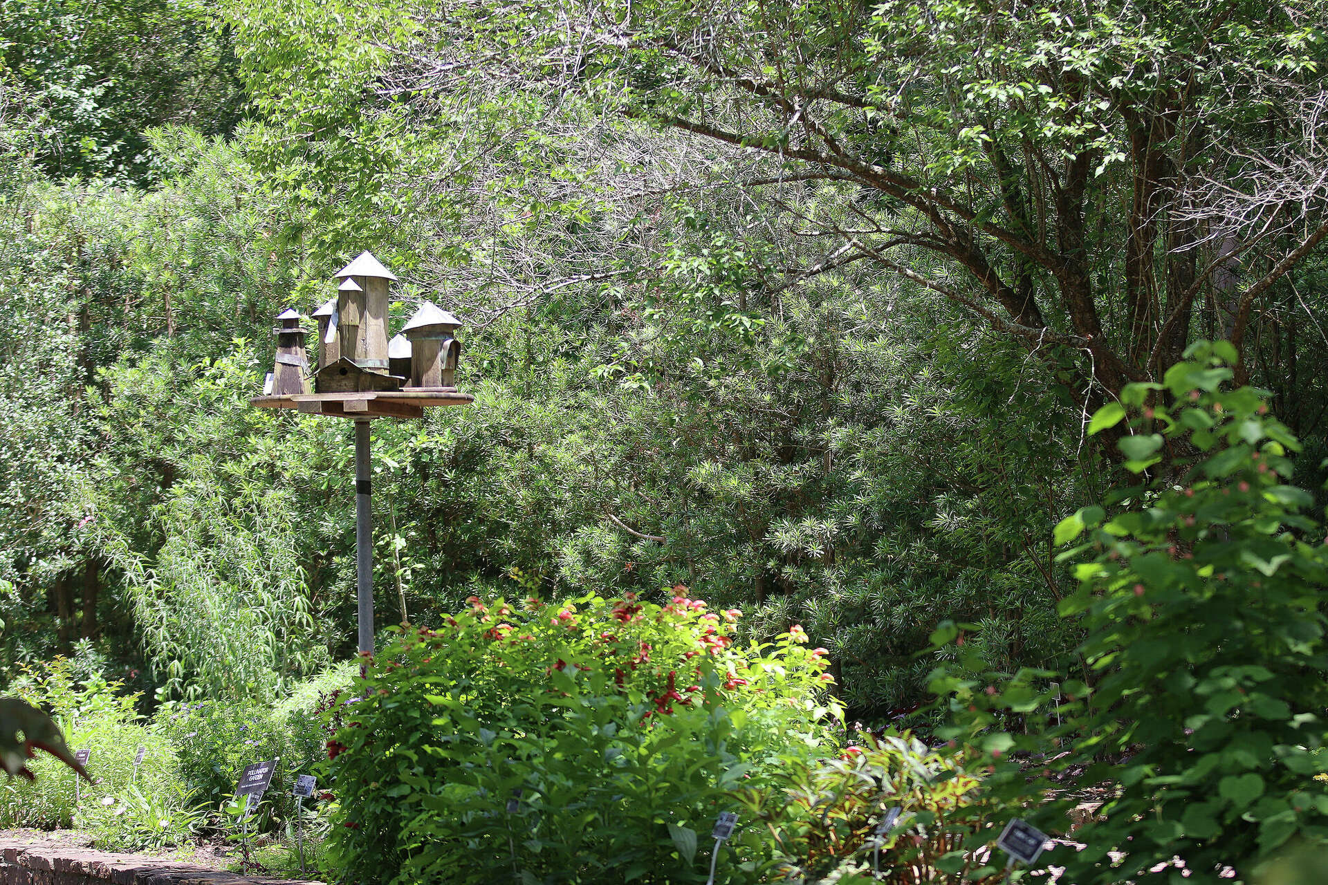Mercer Botanic Gardens in Humble mostly restored after Harvey
