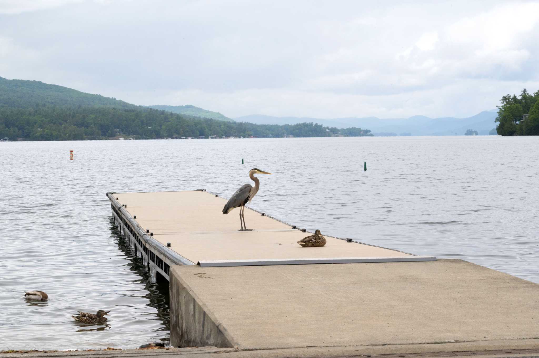 DEC: Lake George's Million Dollar Beach closes due to E. coli