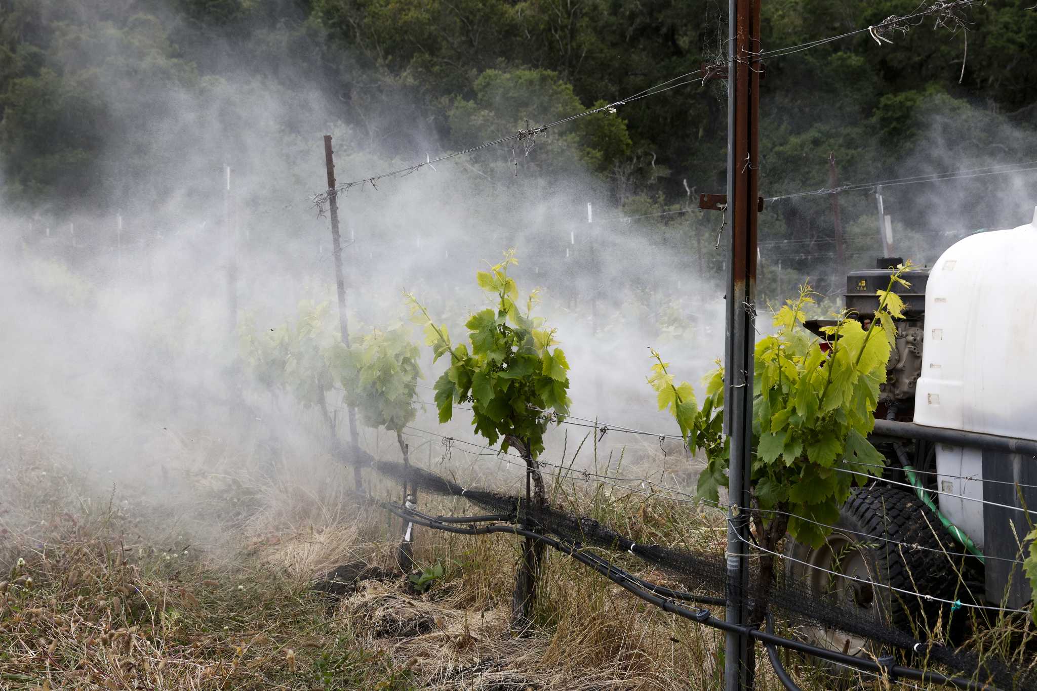 Raj Parr's Phelan Farm wants to radically change wine