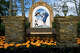 Michael Jackson's abandoned Neverland Ranch sees flurry of activity