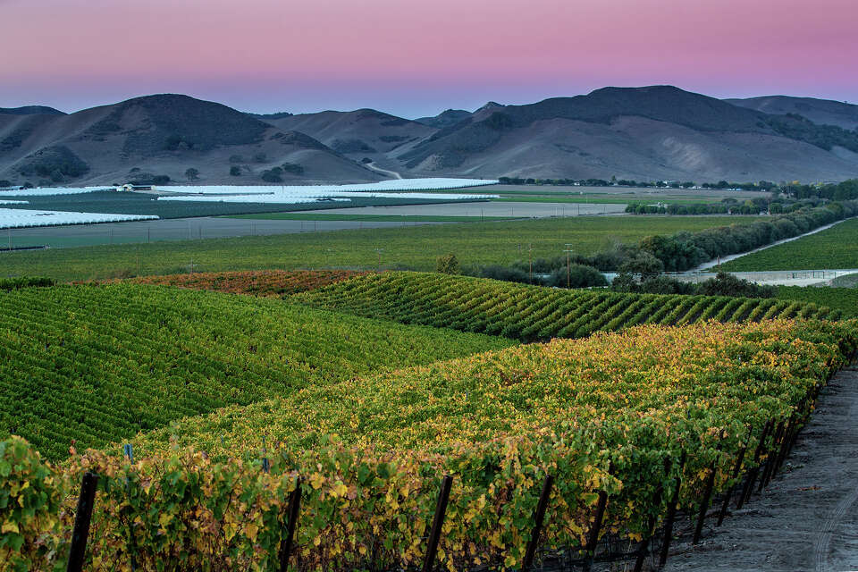 Michael Jackson's abandoned Neverland Ranch sees flurry of activity