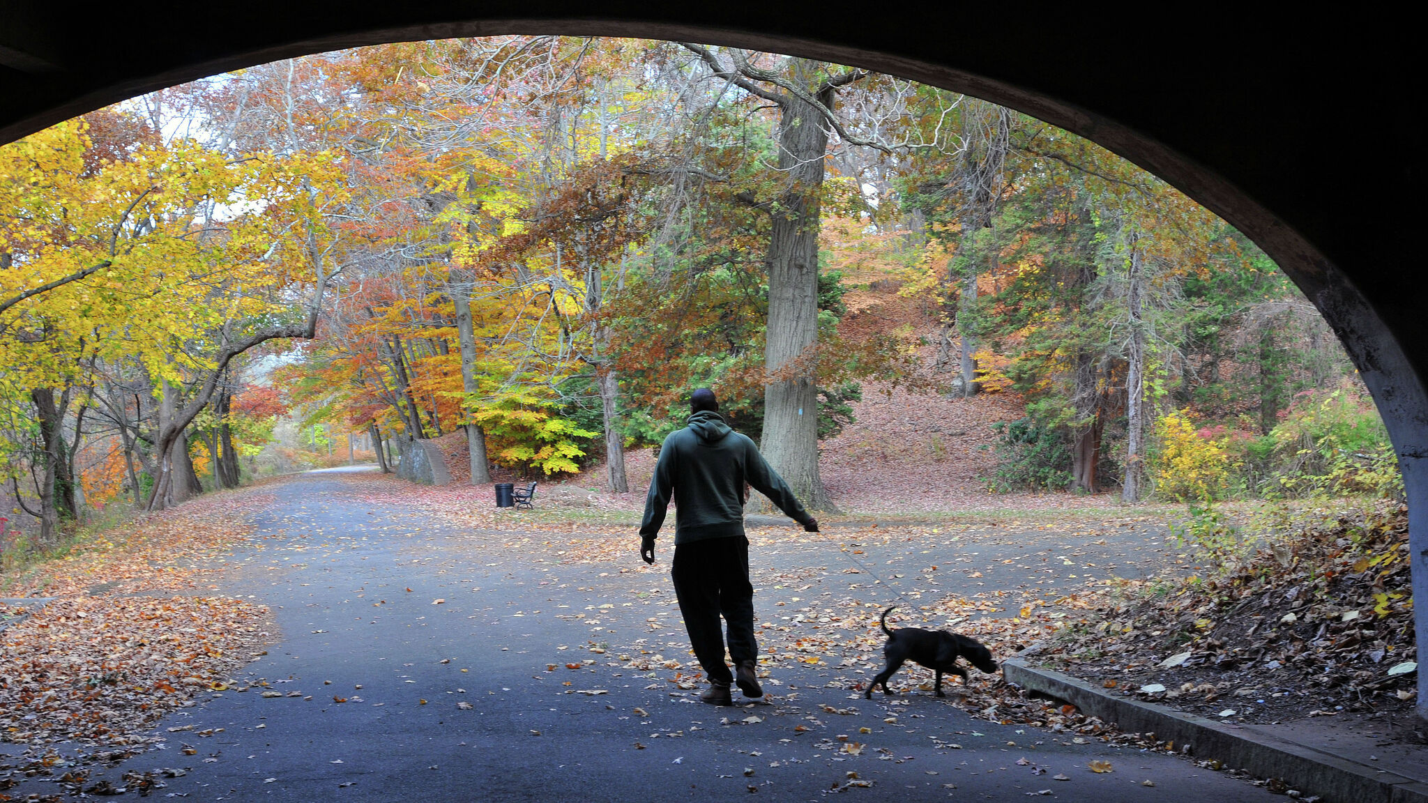 Parks and open spaces contribute to mental well-being, advocates say