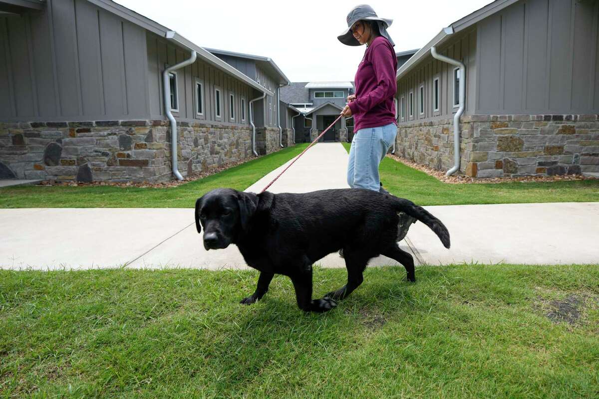 Montgomery County pet resort lets your dogs live in luxury