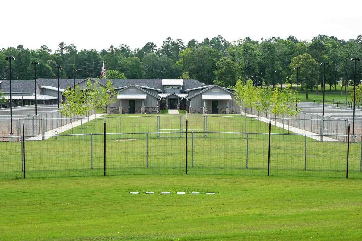 Montgomery County pet resort lets your dogs live in luxury