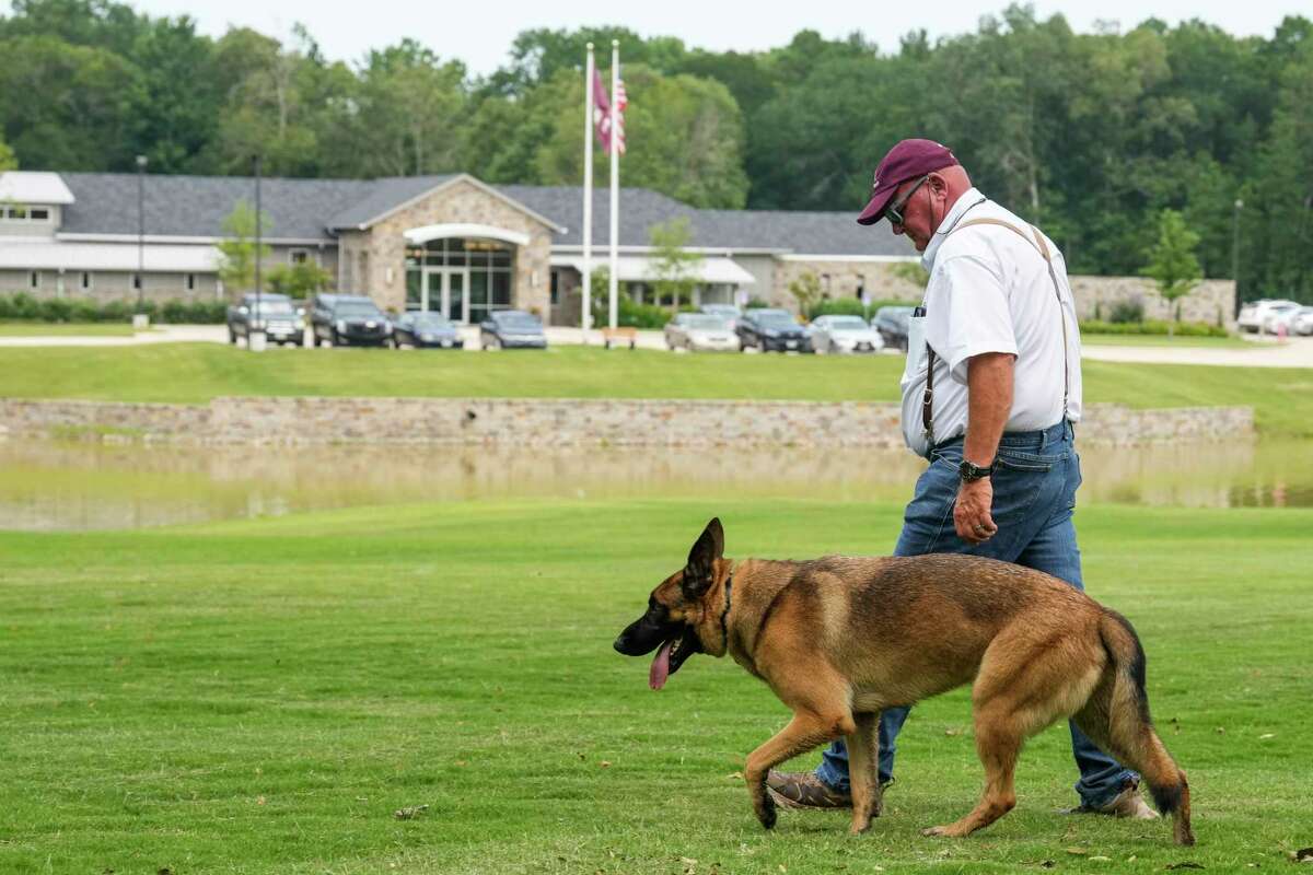 Montgomery County pet resort lets your dogs live in luxury