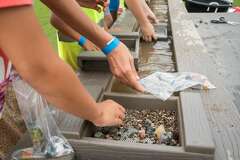 Your complete guide to Dig World in Katy, Texas