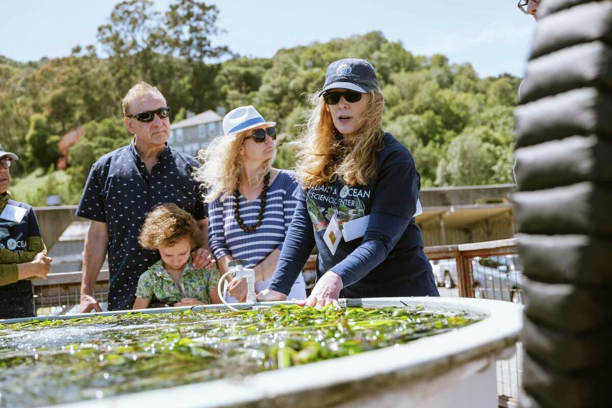 The only marine science lab on San Francisco Bay is at risk of closing