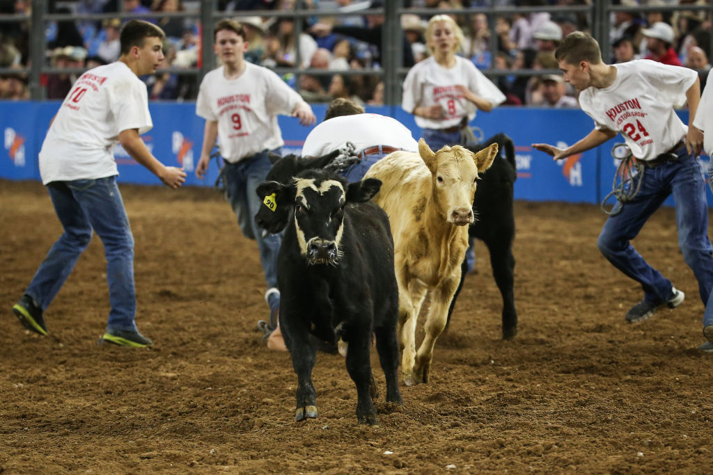 Steer runs through crowd of women at Texas rodeo