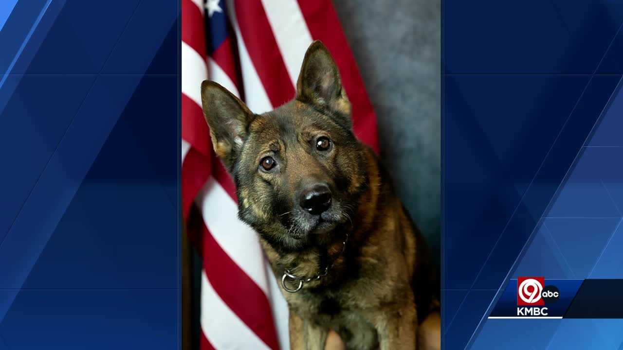 Beloved police dog named Cheeseburger retires after 8 years of service