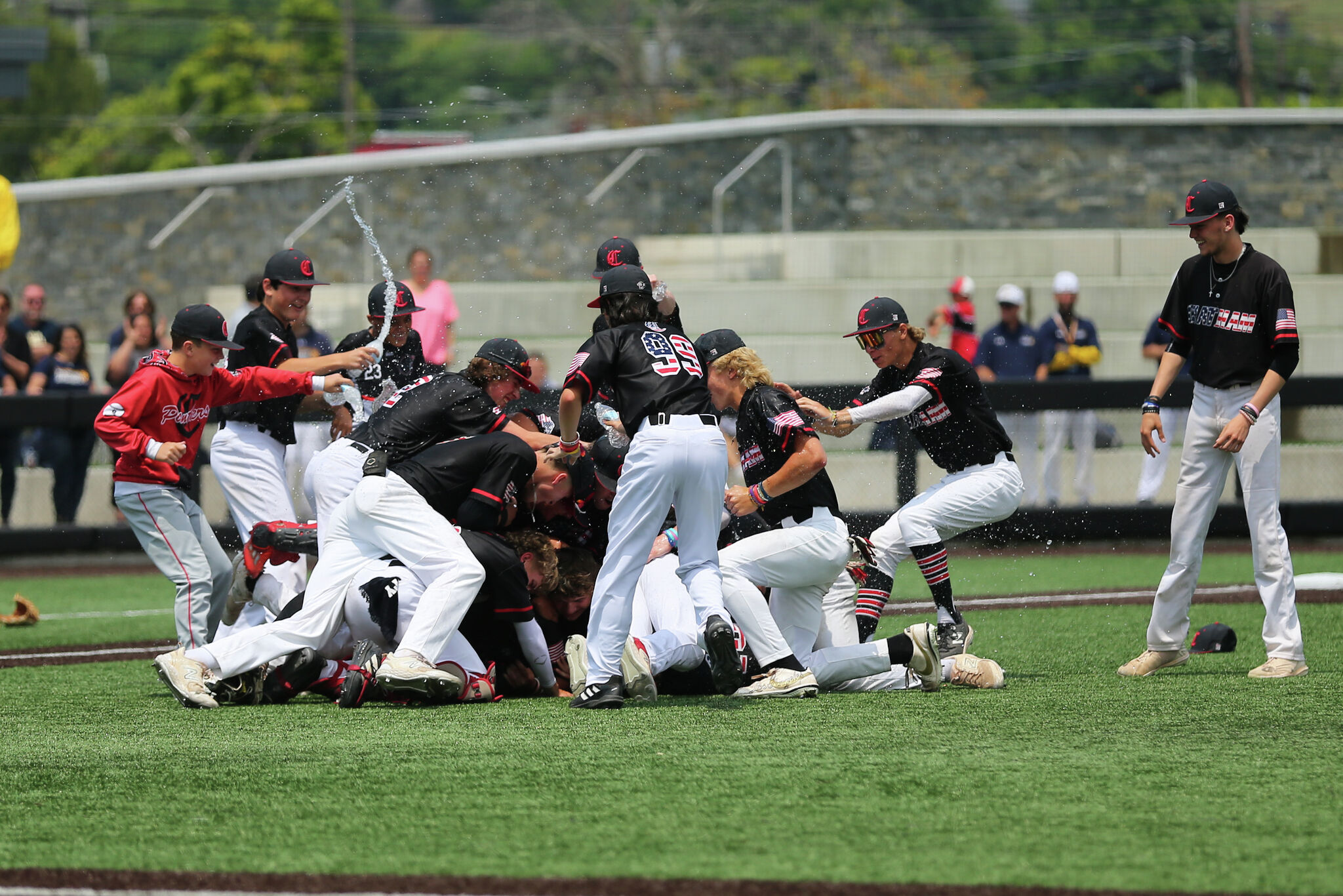 Chatham uses speed on bases to repeat as Class C baseball state champ