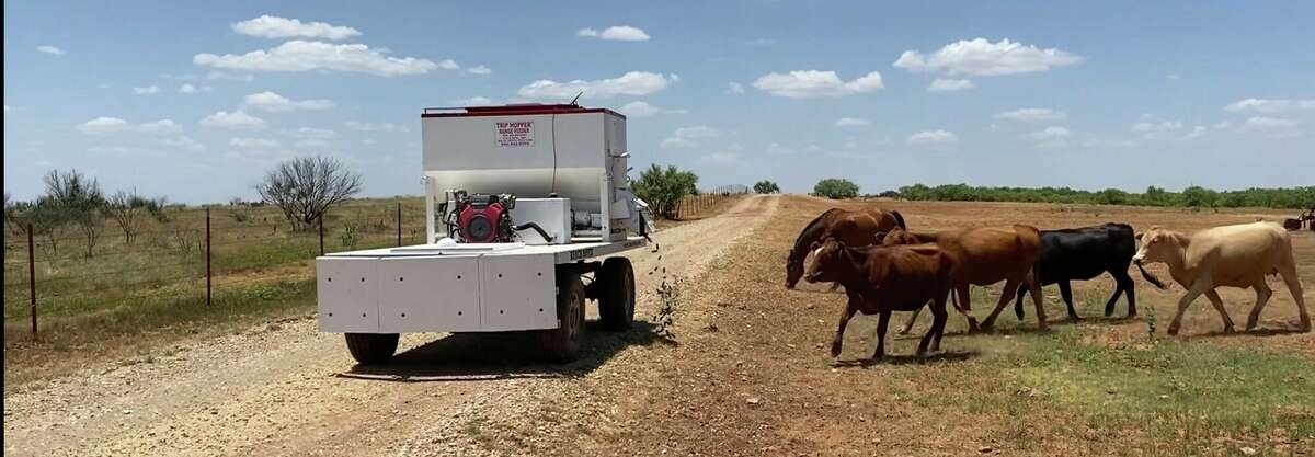 Texas entrepreneurs build robot to feed cattle and save ranchers time