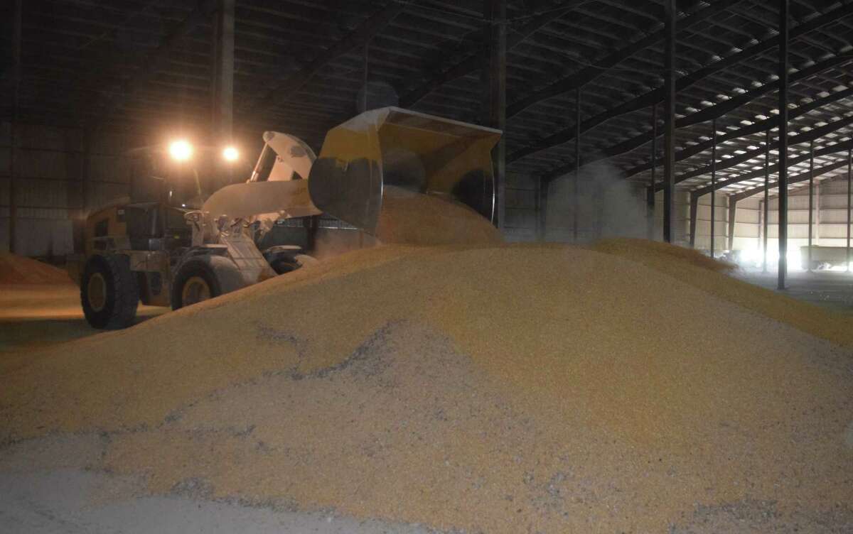 Corn remains king in Illinois as demand continues to grow