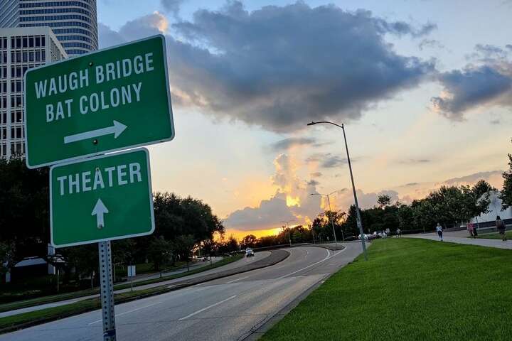 Why the Waugh Drive bat colony is a must-see Houston wonder
