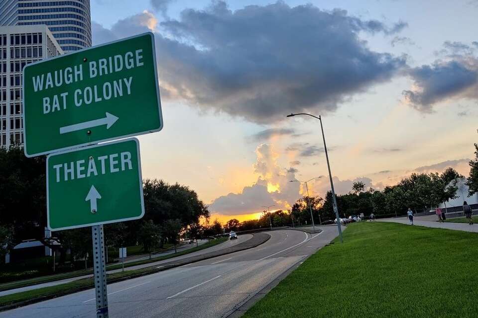 Why the Waugh Drive bat colony is a must-see Houston wonder