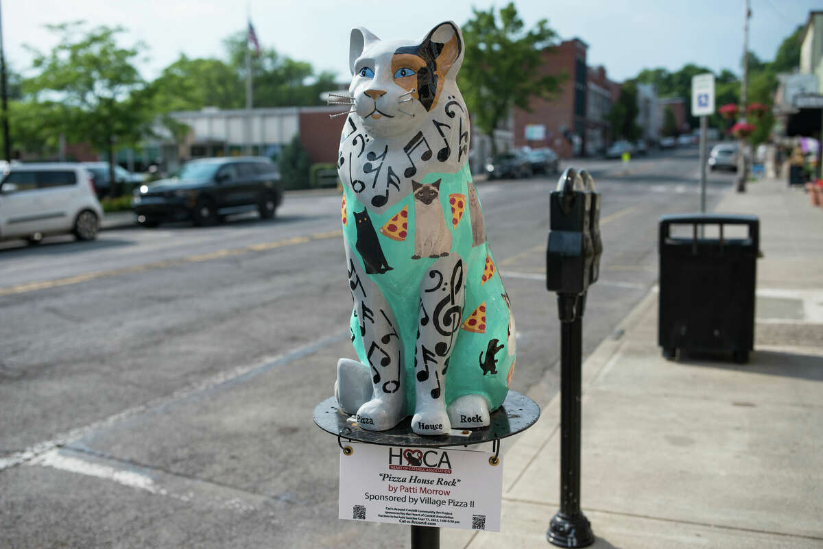 Why are cat statues taking over Catskill streets?