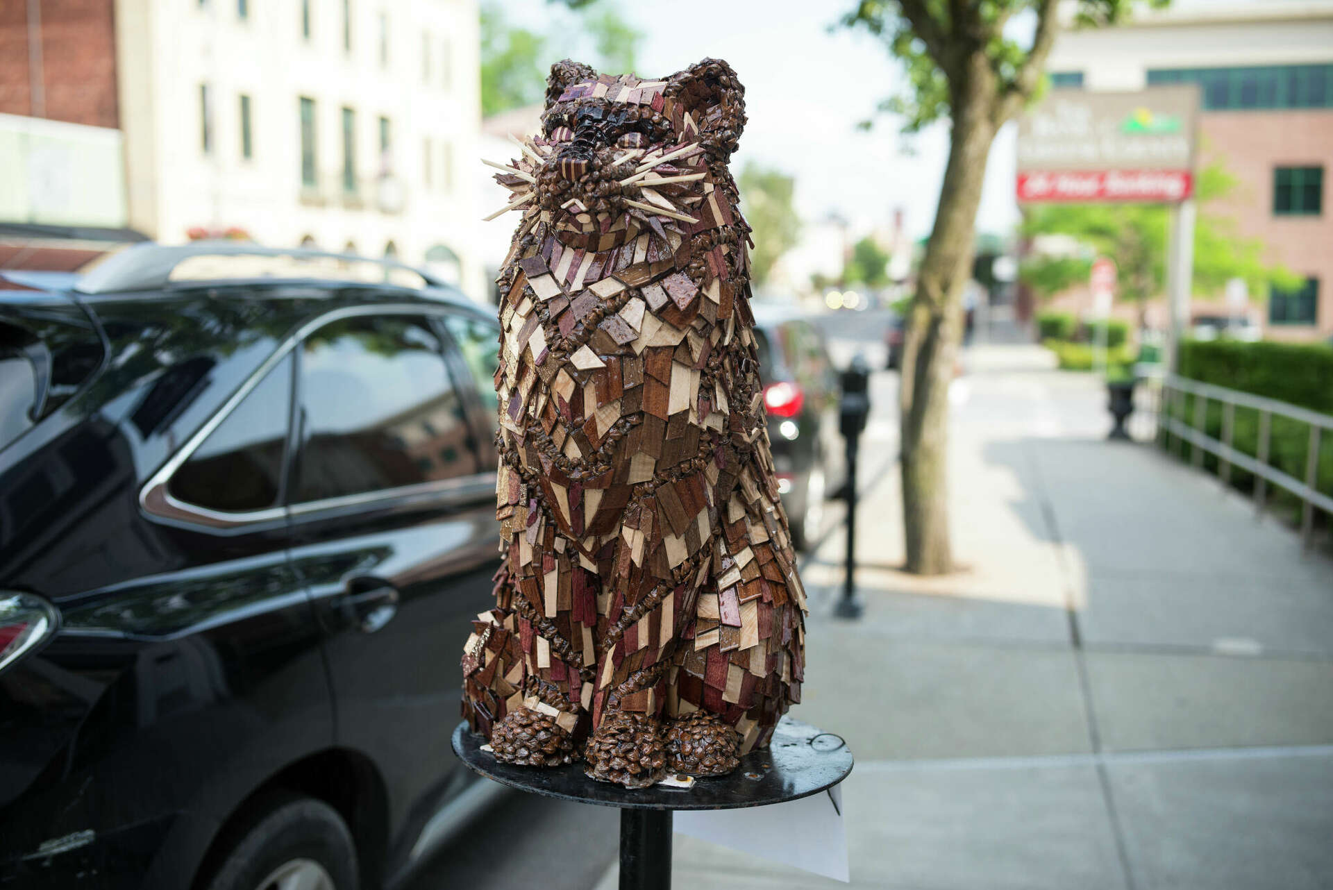 Why are cat statues taking over Catskill streets?