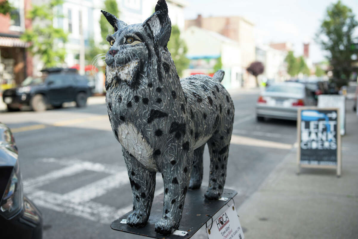Why are cat statues taking over Catskill streets?