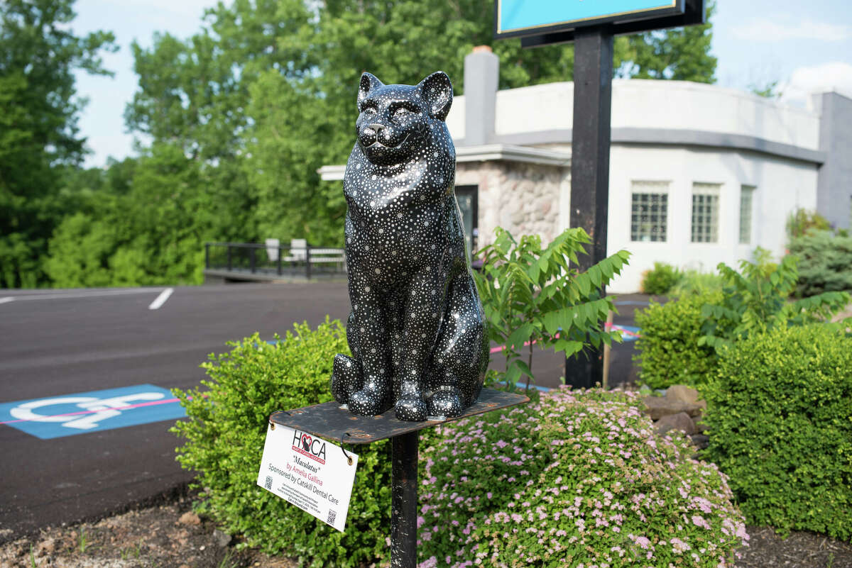 Why are cat statues taking over Catskill streets?