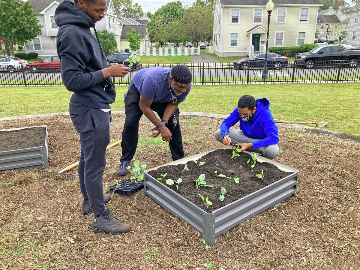 Land trusts are key to preserving CT's wilderness areas