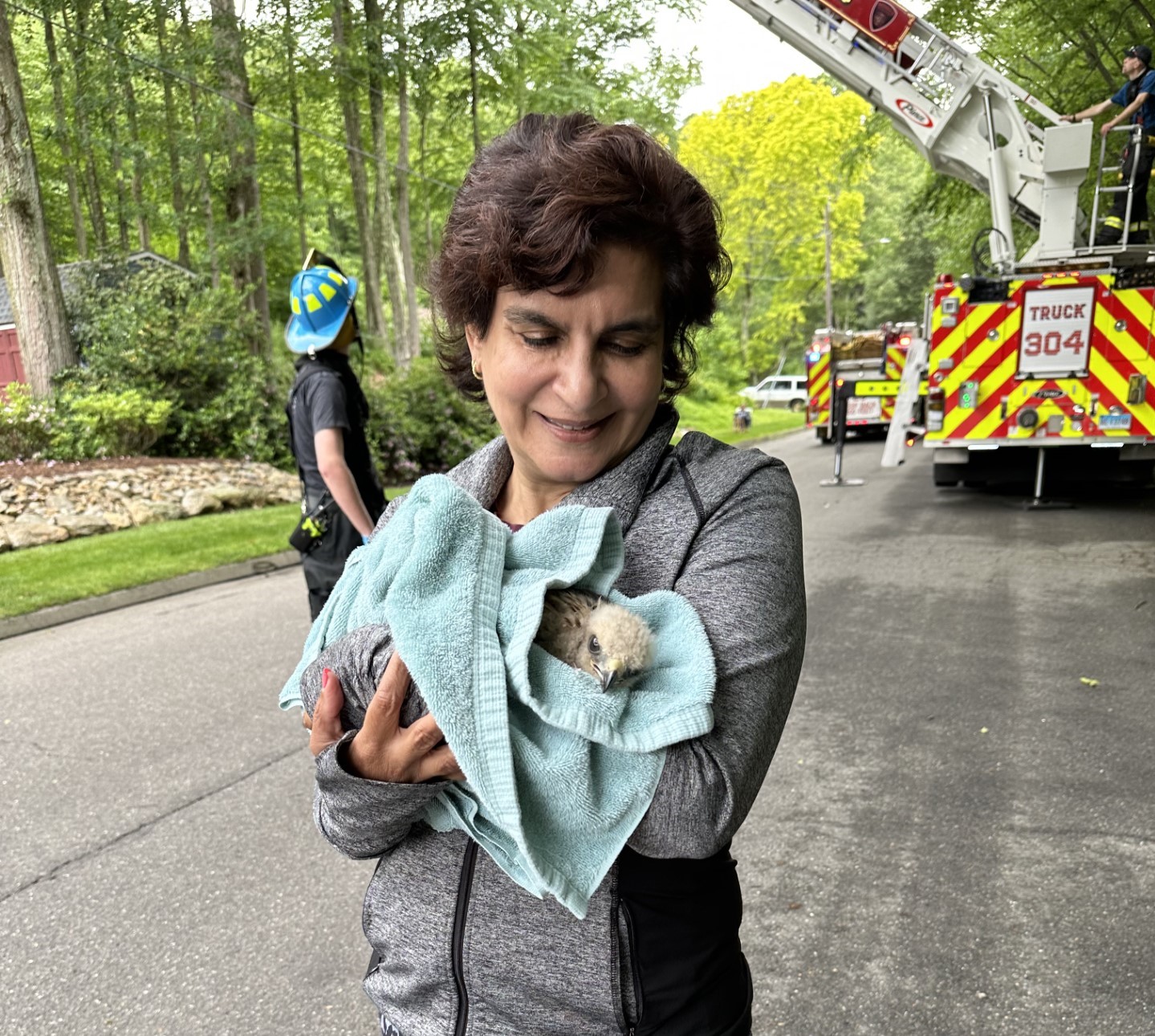Trumbull neighborhood, firefighters come together to save baby hawk