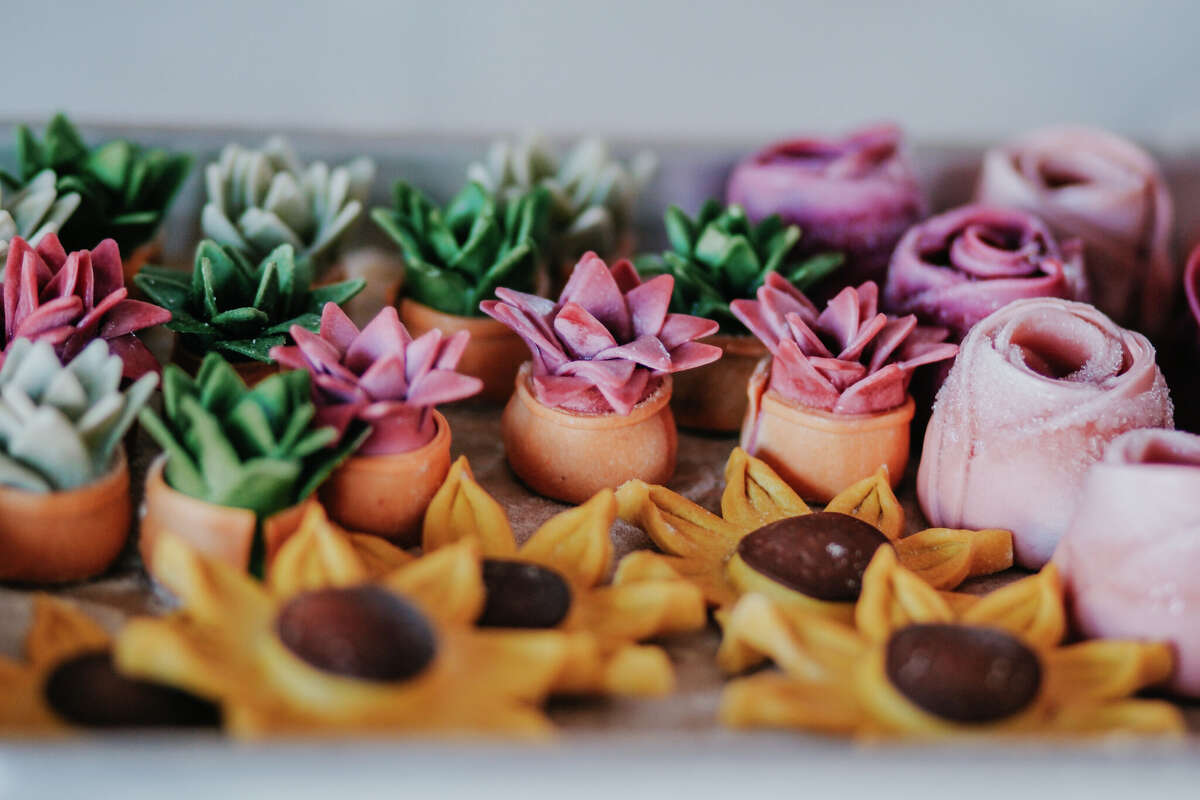 Danny Loves Pasta releases cookbook after TikTok fame